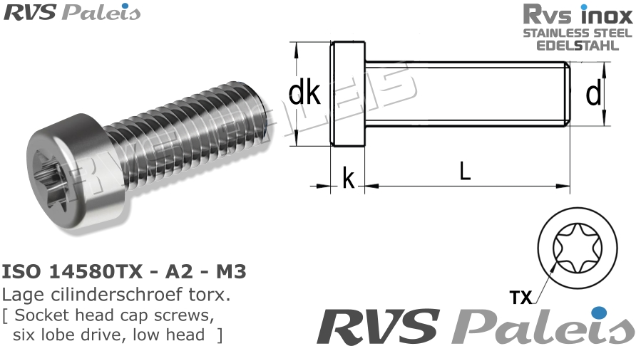 ISO 14580 A2 TX - m3 | rvs lage cilinderschroef torx | rvspaleis.nl